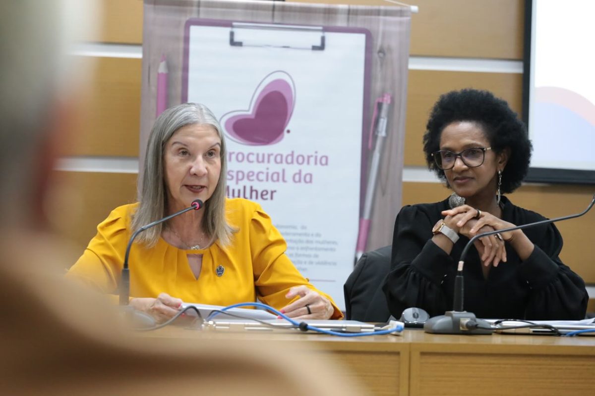 Saiba quais são as principais ações de Tânia Larson na Câmara de Joinville