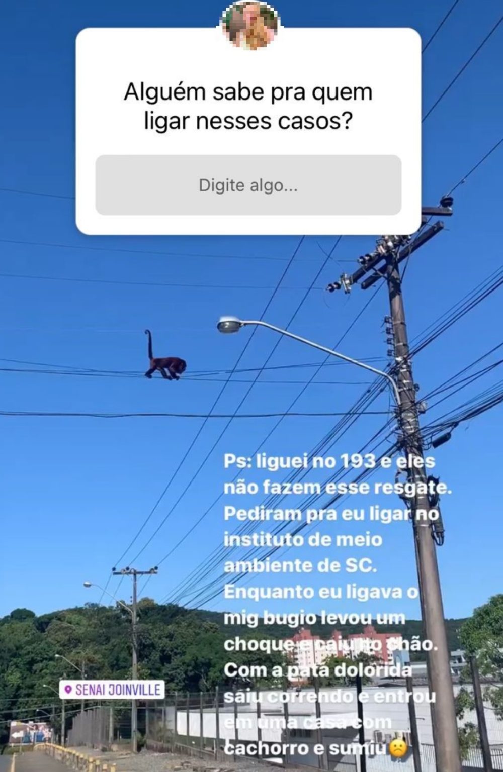 MP-SC ajuíza ação para prefeitura e empresa implantarem corredor ... MP-SC ajuíza ação para prefeitura e empresa implantarem corredor ...